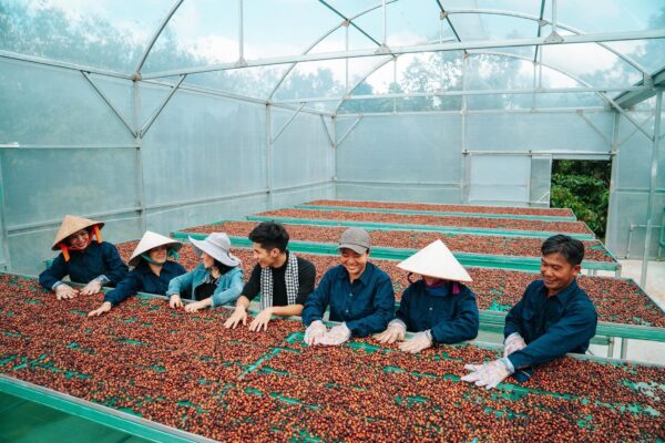 Công ty TNHH PM Coffee chuyên sản xuất sản phẩm Cà Phê